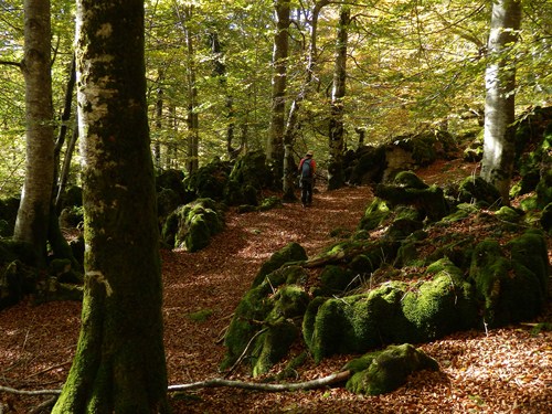 Parque Natural de Urbasa Andía en Navarra